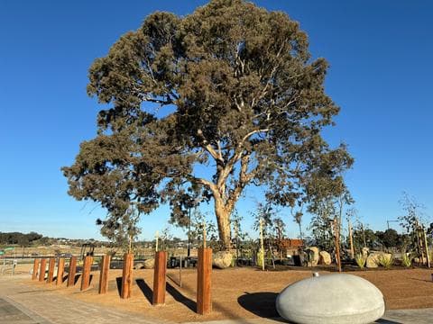 Complex Construction - Complex Construction