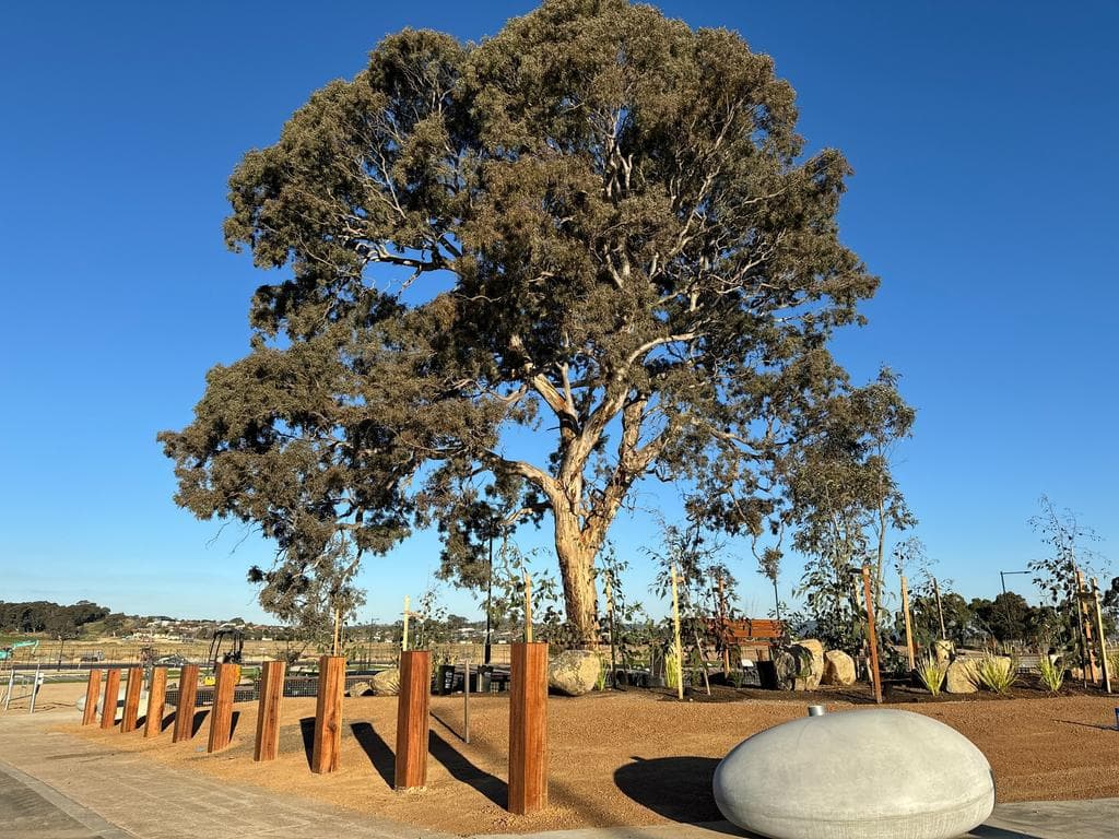 Complex Construction - Complex Construction