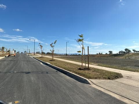 Complex Construction - Complex Construction